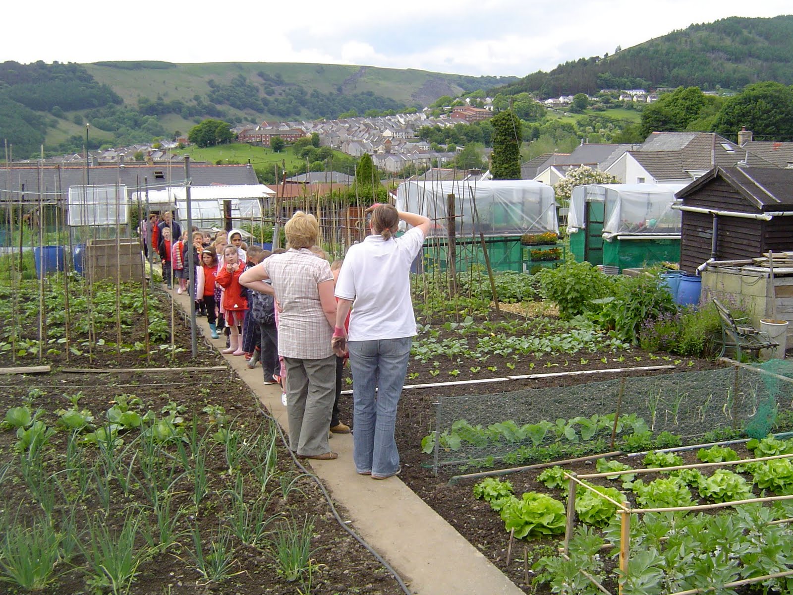 Once Upon a College: Community gardens in the UK