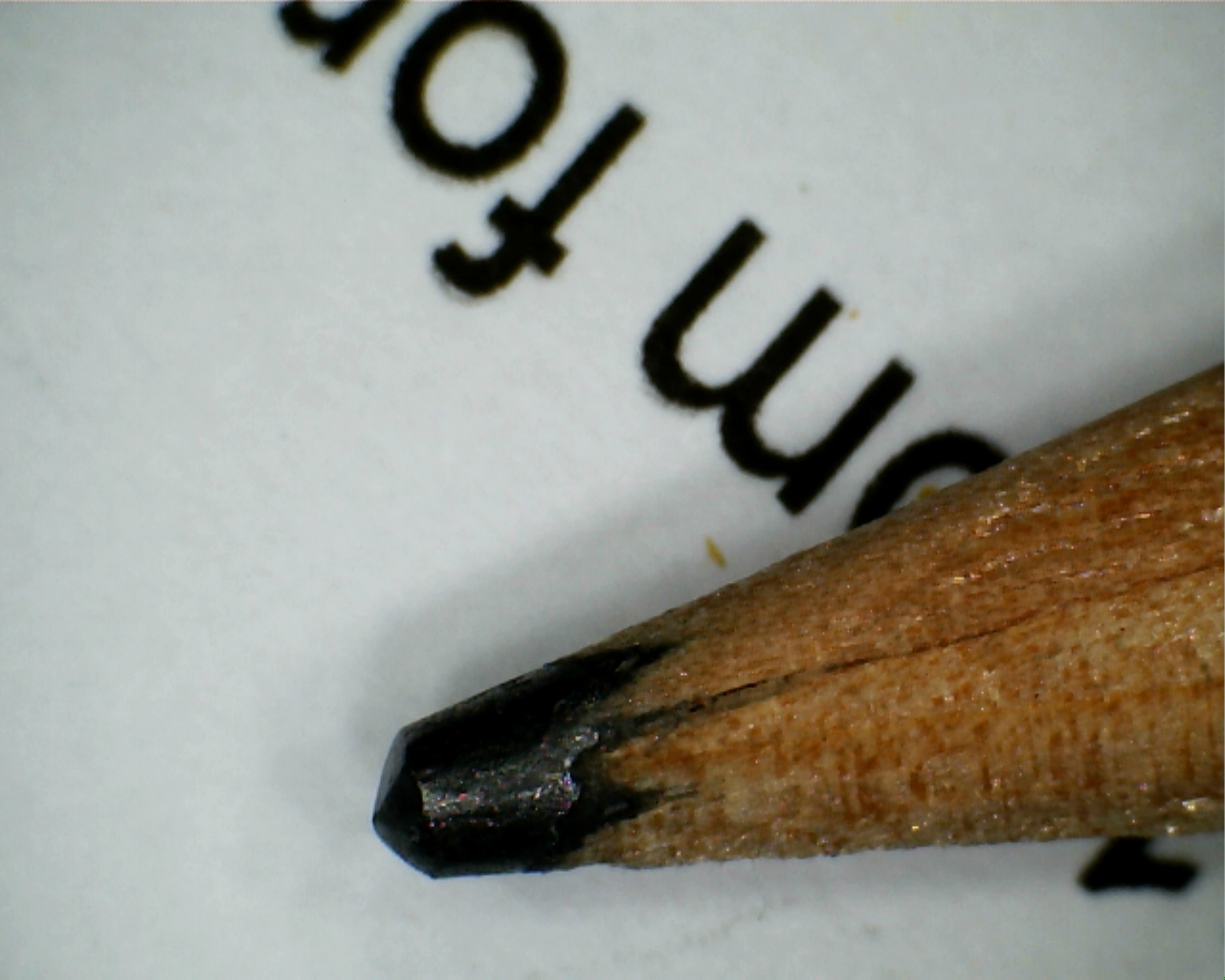 The Project: USB microscope!