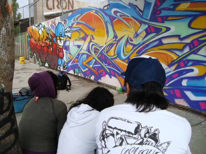 GRAFFITI LA GRIPE ACTUAL: 21/11/10 - 28/11/10