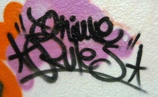 GRAFFITI LA GRIPE ACTUAL: 21/11/10 - 28/11/10