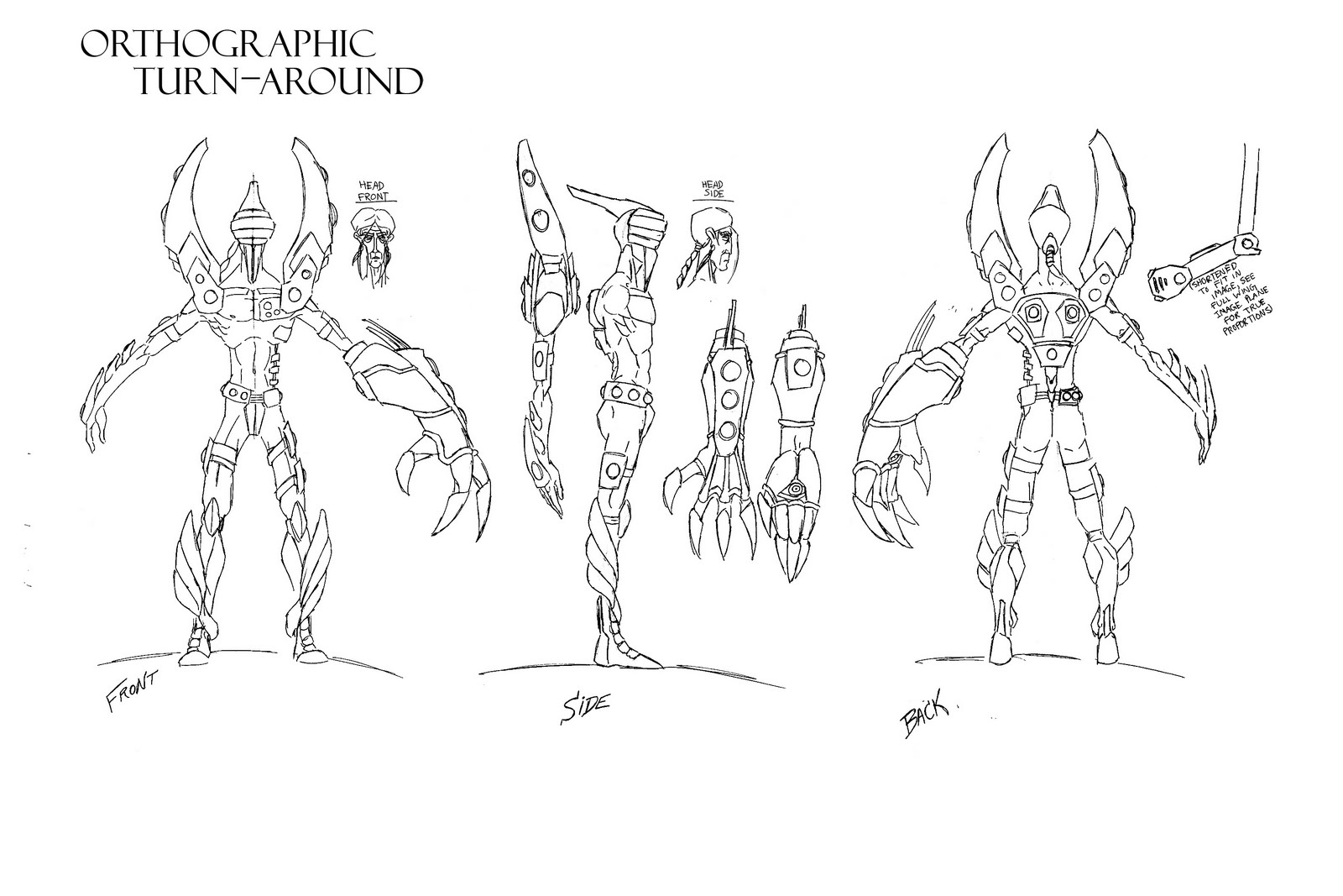 Orthographic View Character