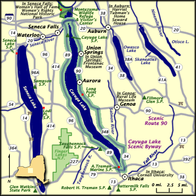 BLOG DE LA IAIA: VISITA A CAYUGA LAKE