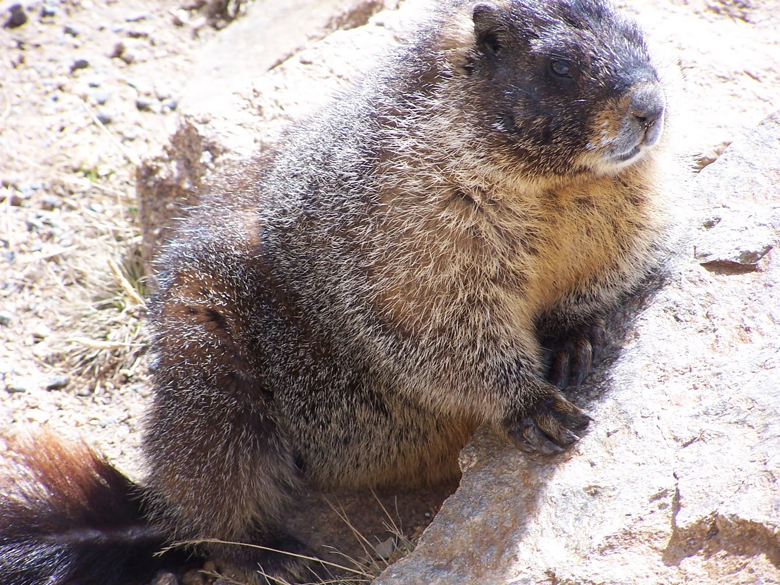 Rocky Mountain National Park