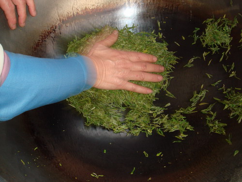 Cha Qu 茶趣: Green Tea: Production Process