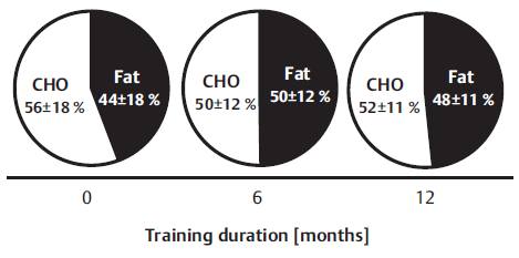 One Year Aerobic Endurance Training Raises Fat Oxidation During ...