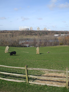 Photographs Of Newcastle: Bill Quay Community Farm