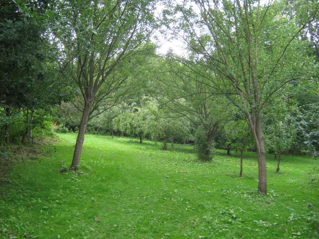 Photographs Of Newcastle: Walbottle