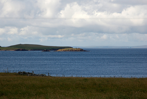 Une curiosité de qualité: Forvick