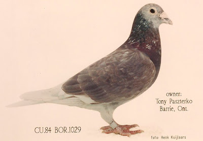 TCC Loft: Chas. Heitzman's "Hei-Choice"