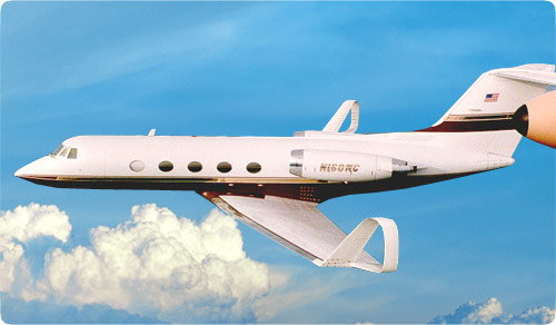 Tails Through Time: The Spiroid Winglet