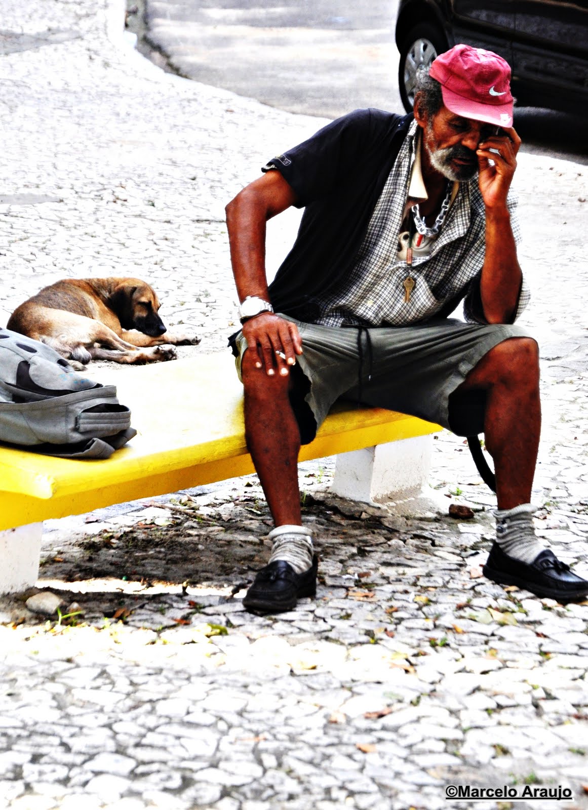 Genus Irritabile Vatum: Nós somos...