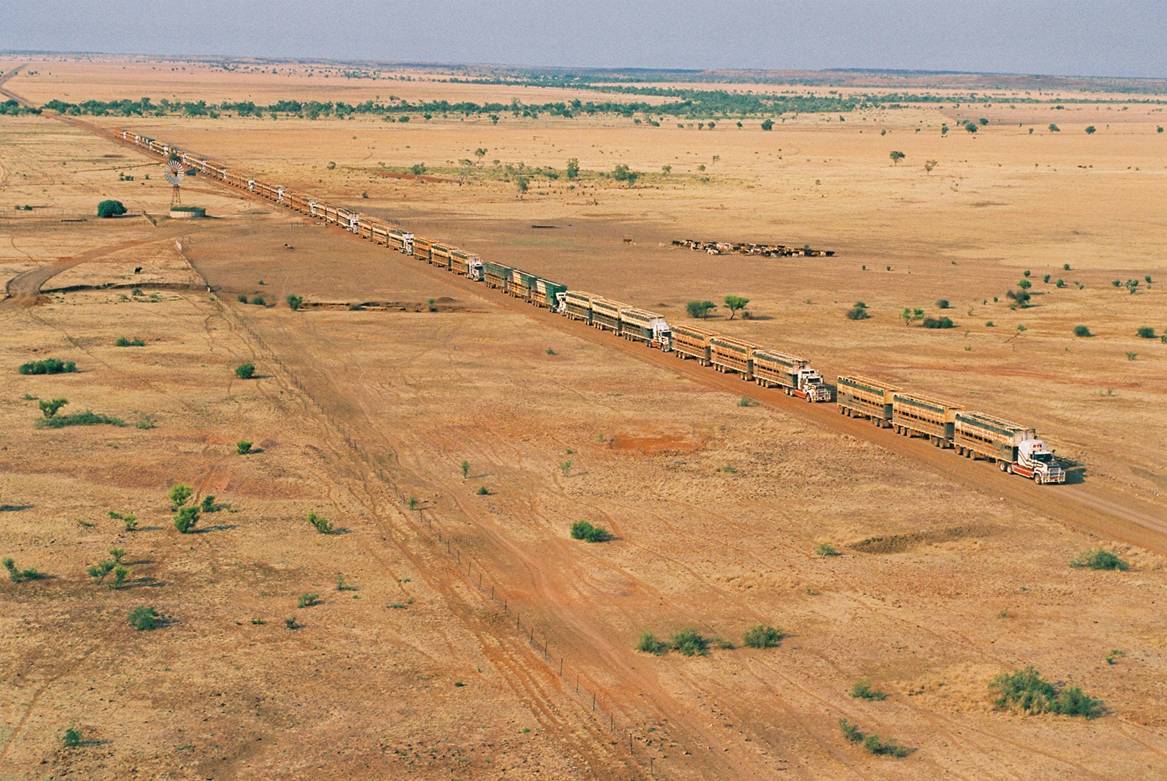 ellergy: AN UNBELIEVABLE AUSTRALIAN CATTLE FARM