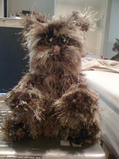 Beauty Me to You..: Amigurumi scruffy cat