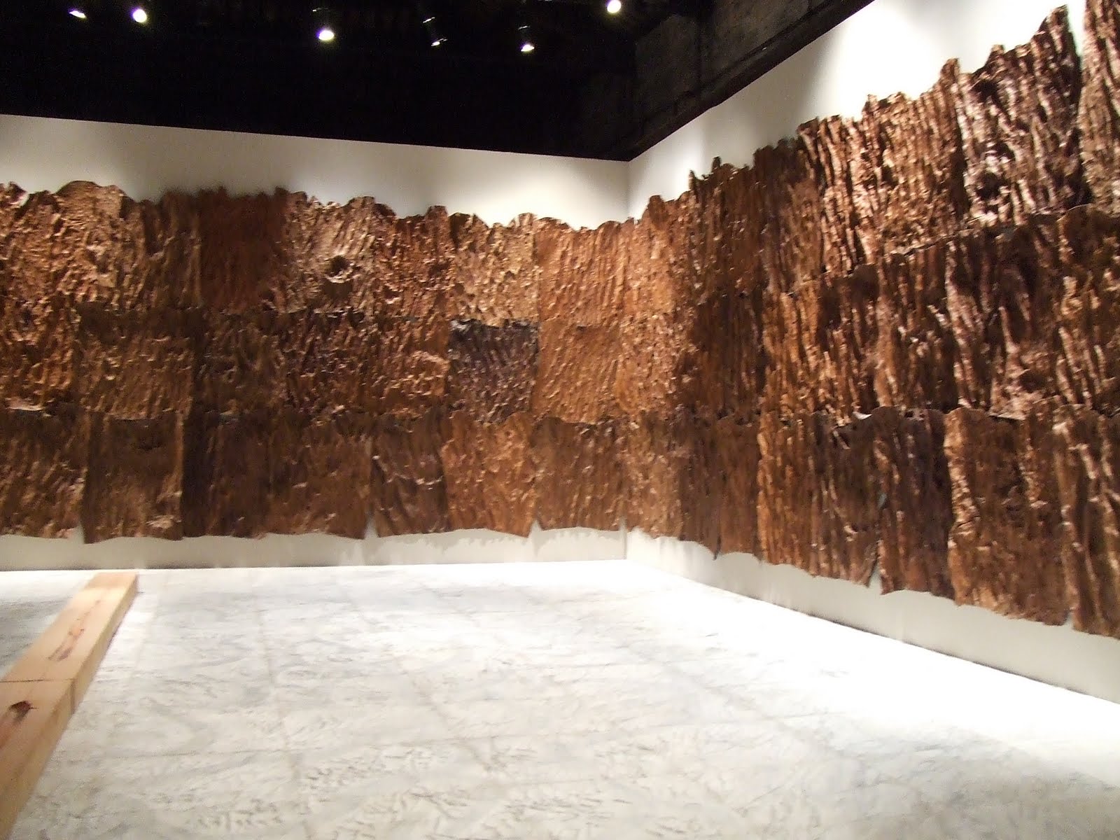 ARTS PLASTIQUES: Giuseppe PENONE