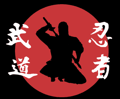 Artes marciales: ninjutsu
