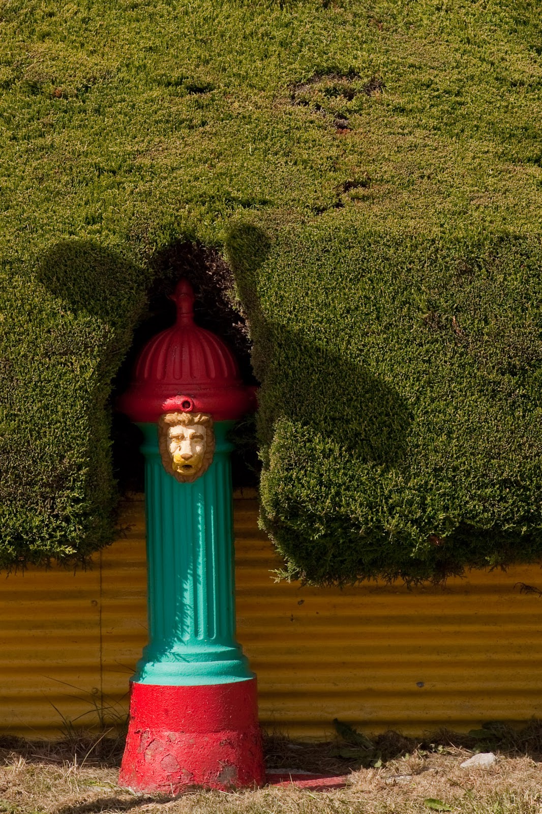 In search of the Emperor Penguin & so much more...: Wednesday, December ...