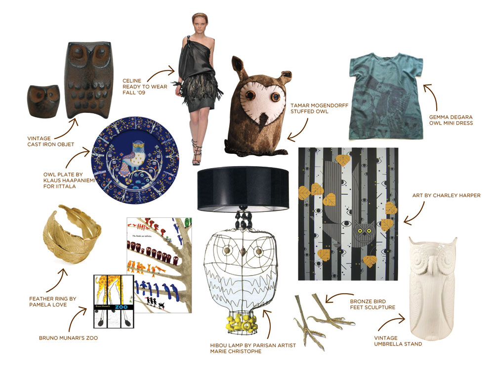 Falls Design: Design Trend: Owls