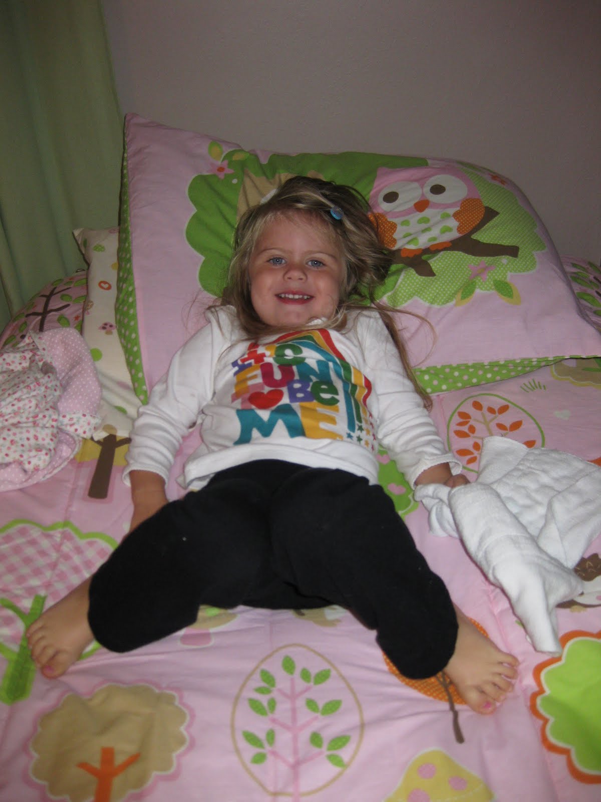 hoskinson household: the big girl bed............