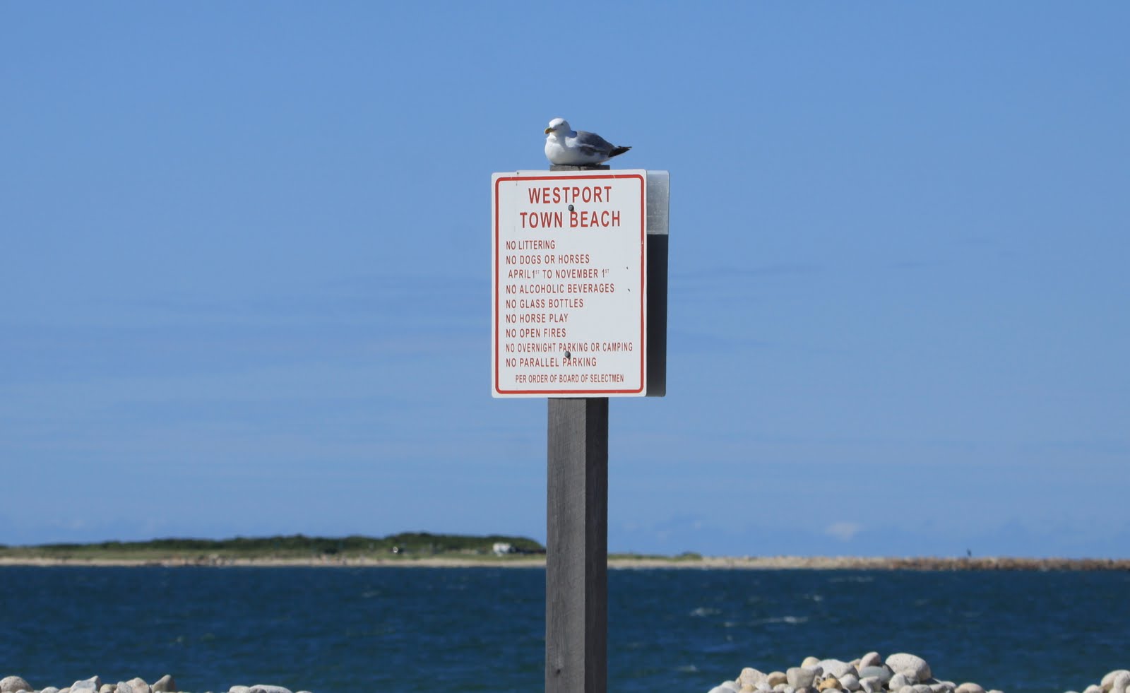 Looking Out from Central Massachusetts: Gooseberry Neck and Westport