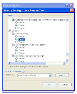 My learning paths: Disable/Enable Javascript in Internet Explorer programmatically