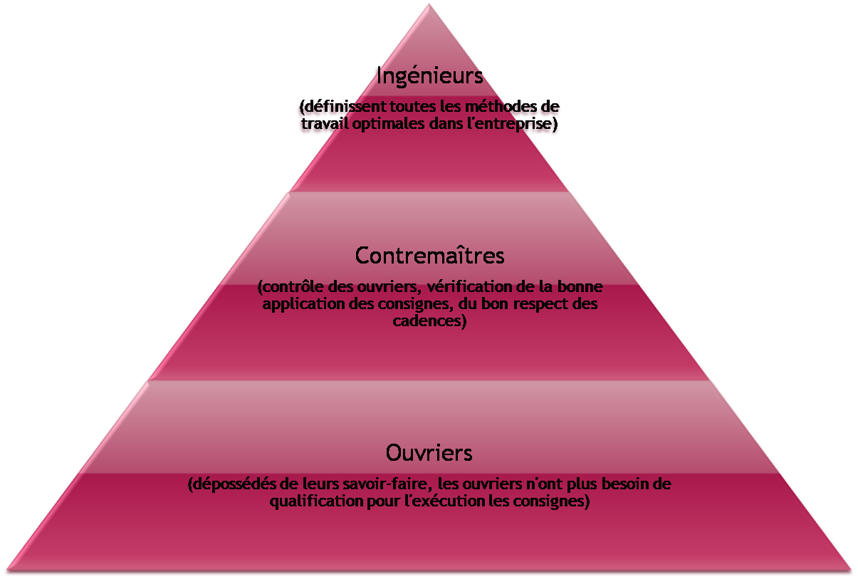 Taylorisme: Hiérarchisation dans l'entreprise