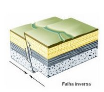 Blog Ciências Naturais™: Dezembro 2010