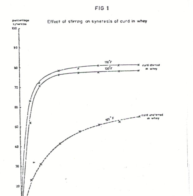 CheeseScience.net: Syneresis- V