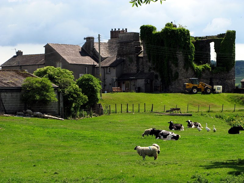 Paul Lydon: The Dales Way - Thwaite Farm, Howgill to Burneside (10 Miles)