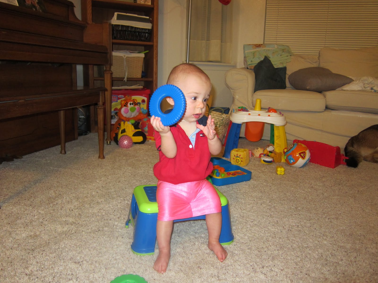 Fox Blog: And the hip helpers are back...