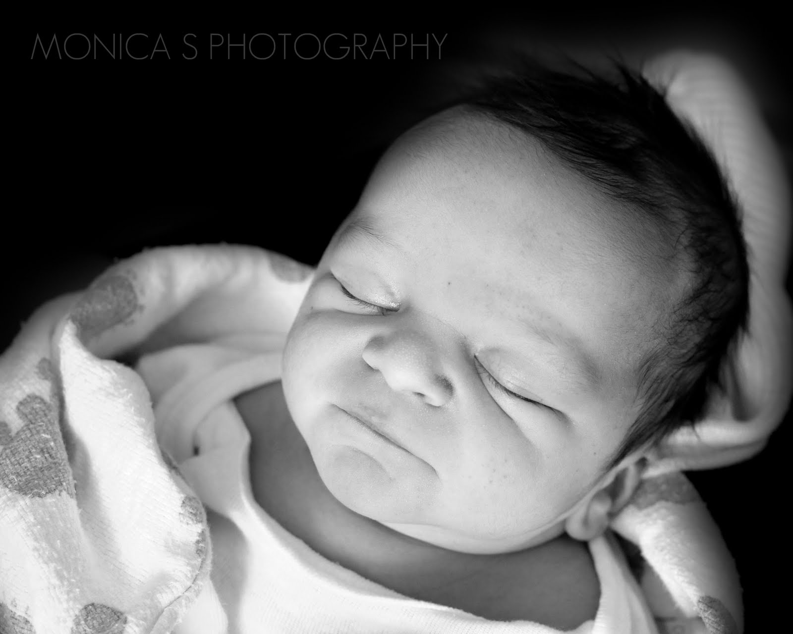Monica S Photography: Precious Babies