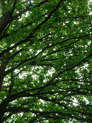 La Grande Toge Rouge