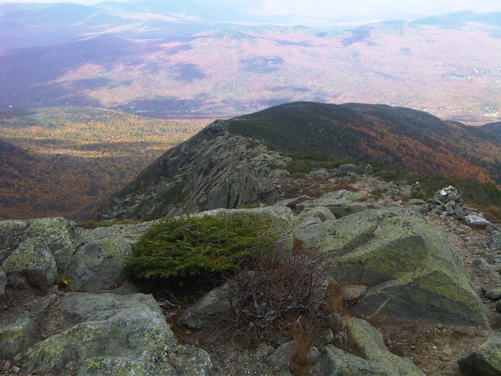 White Mountain Hikers: Mt. Adams, NH via Airline Trail - pwned on 9/25/2010