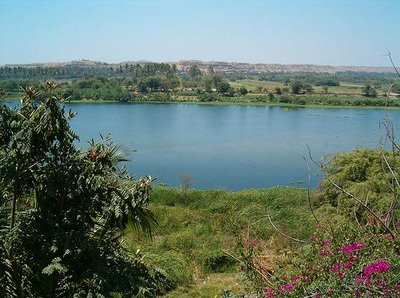 Sullana la perla del Chira: Valle del Chira
