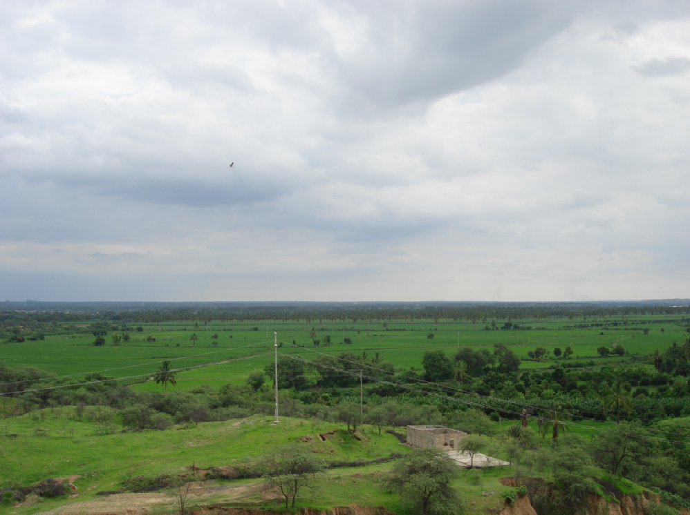 Sullana la perla del Chira: Valle del Chira