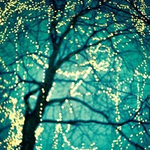 fringe: Turquoise Tuesday...