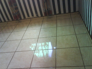 GEOVANNI: INSTALACION DE VITROPISO