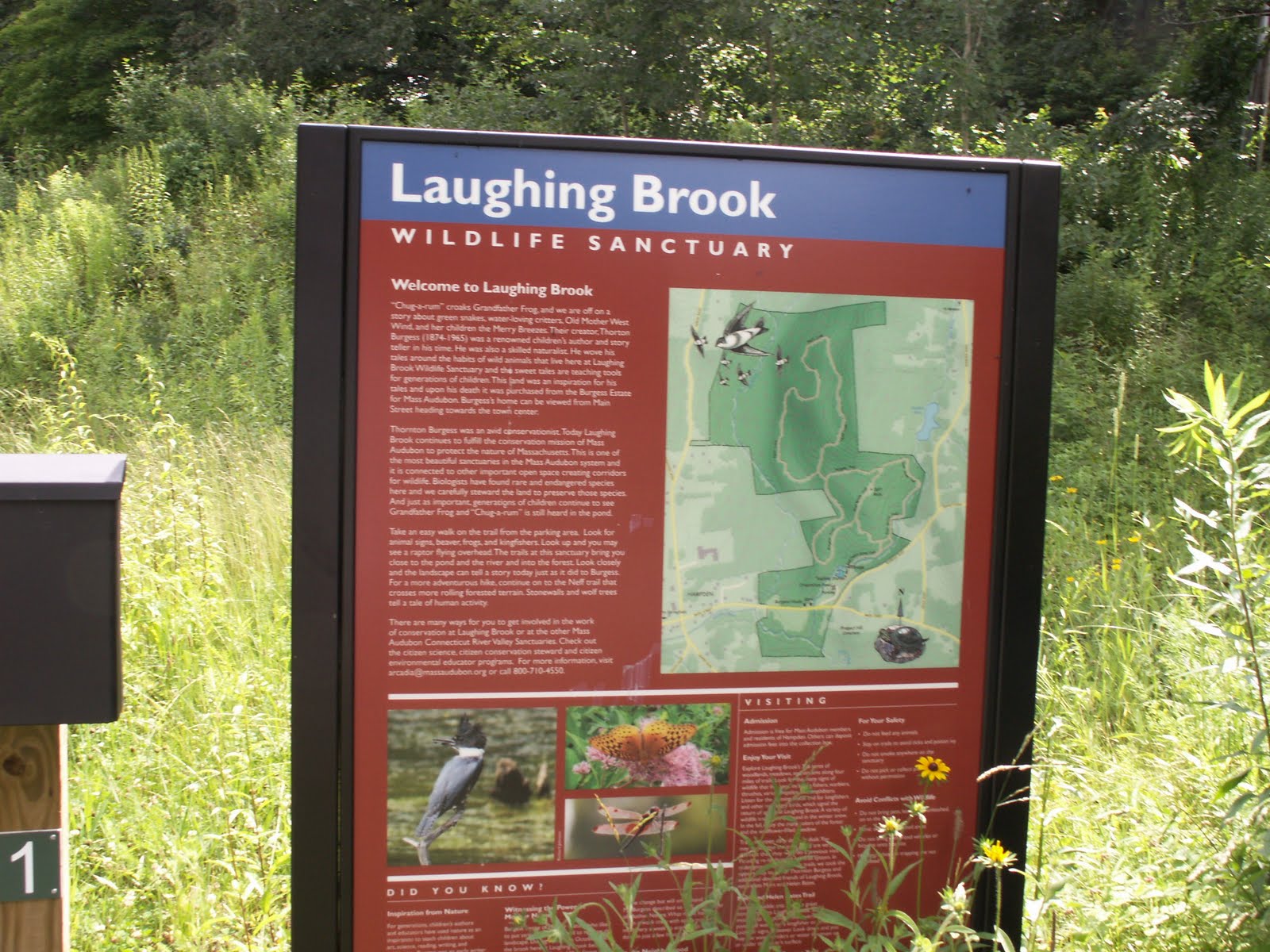 Hell's Acres: The Ruins of Laughing Brook, Part 1