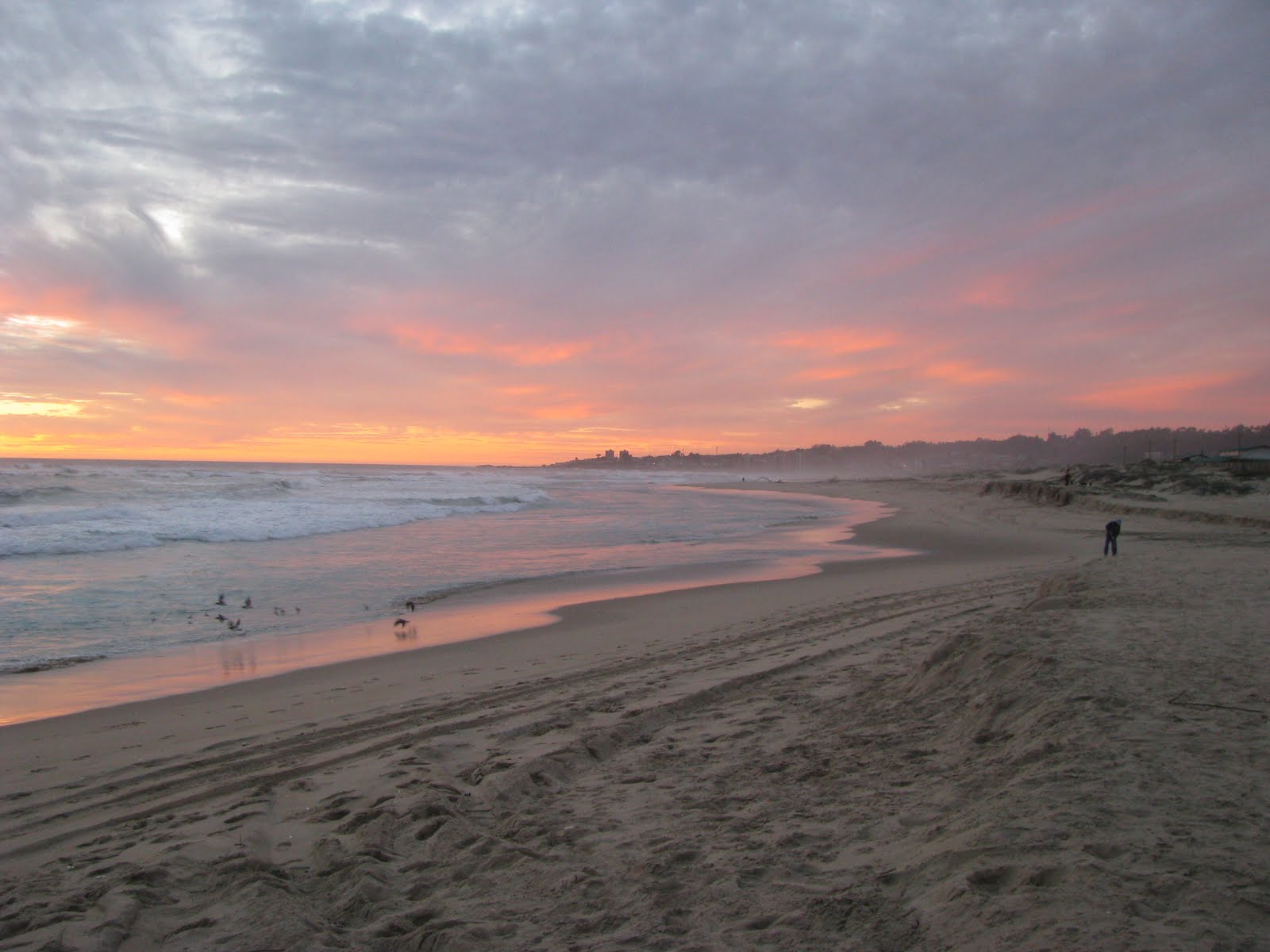 Chile Sorprendente : Guaylandia. El Tabo