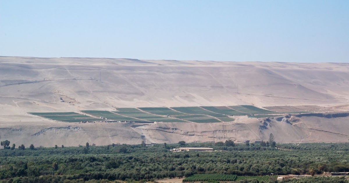 Chile Sorprendente : Valle de Azapa. Arica