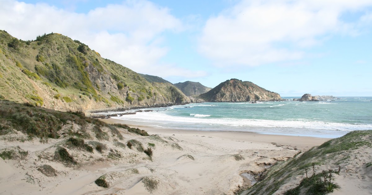 Chile Sorprendente : El Piure. Arauco