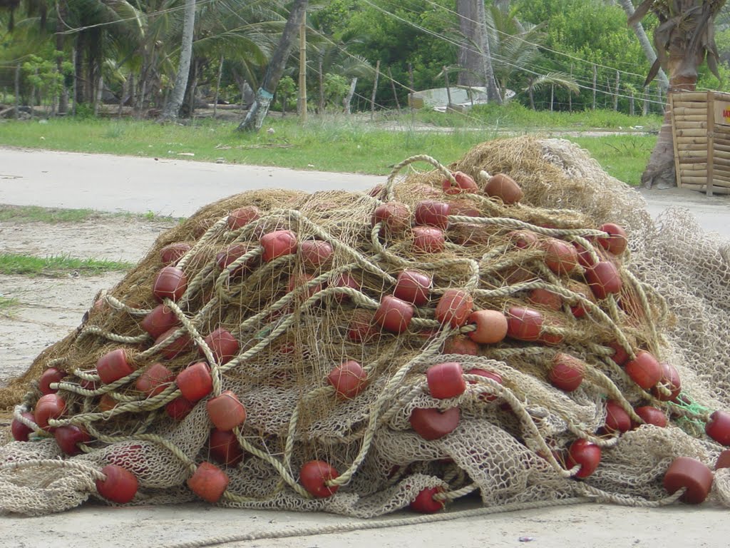 Post: Prohíben la pesca con red tipo chinchorro en todas las áreas ...