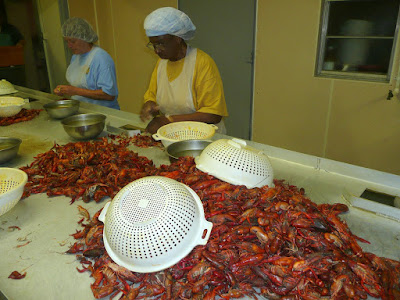 Great Southern Foods: Crawfish Peeling Plant