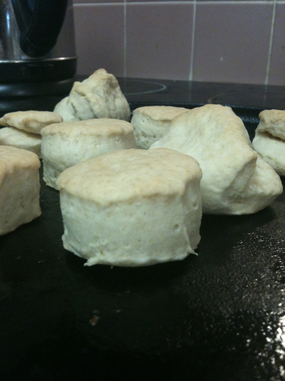 Tracy Cooks in Austin: Beaten Biscuits