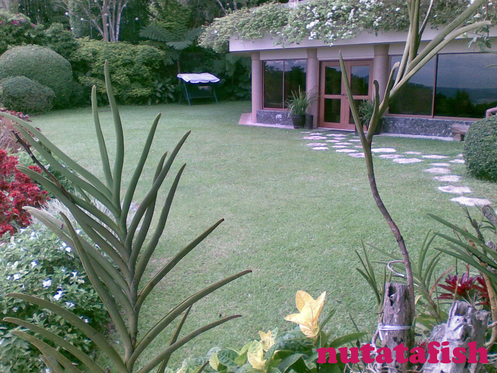 Tagaytay Venue-Hunting ~ Nutatafish