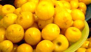 Reflexion y refraccion de la mente: Nanche