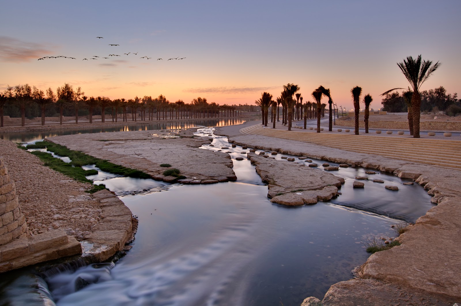 Global Architecture Blog: Profile: Wadi Hanifa Wetlands, Riyadh