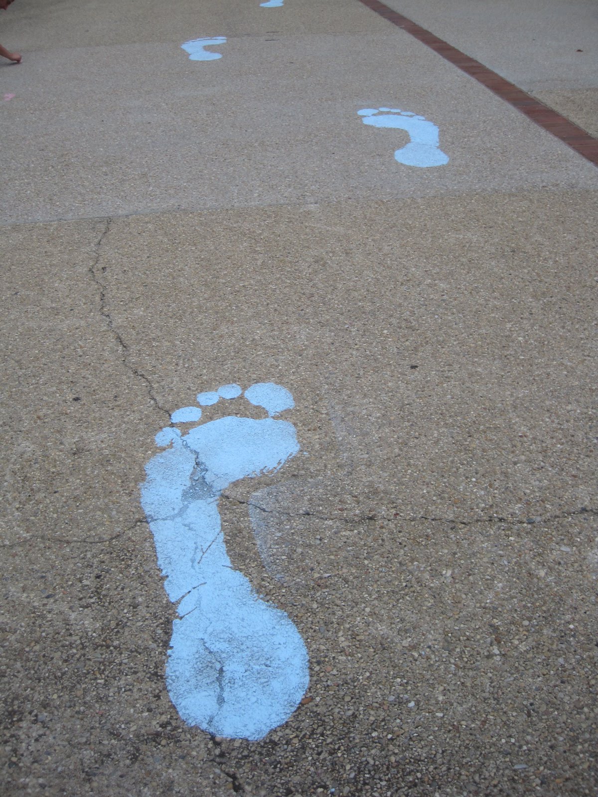 Garden of Forking Paths: Large Footprint Stencil