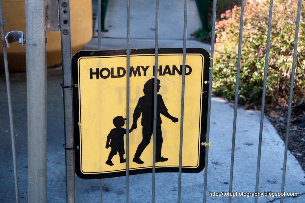 Tofu Photography: Hold my hand