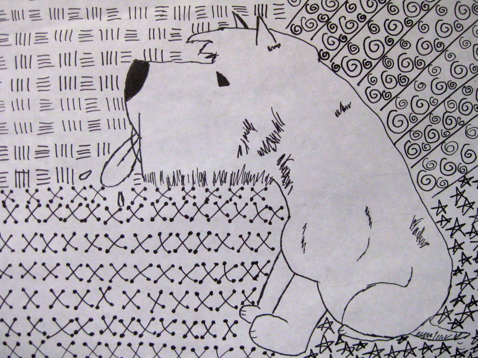 OrGaNiZeD ChAoS: 7th Grade: Contour Line Drawing of Animals