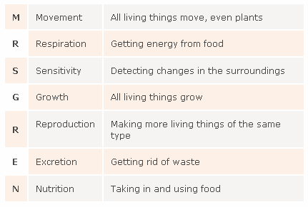 Miss Marinés Betancourt: October 18th -22nd